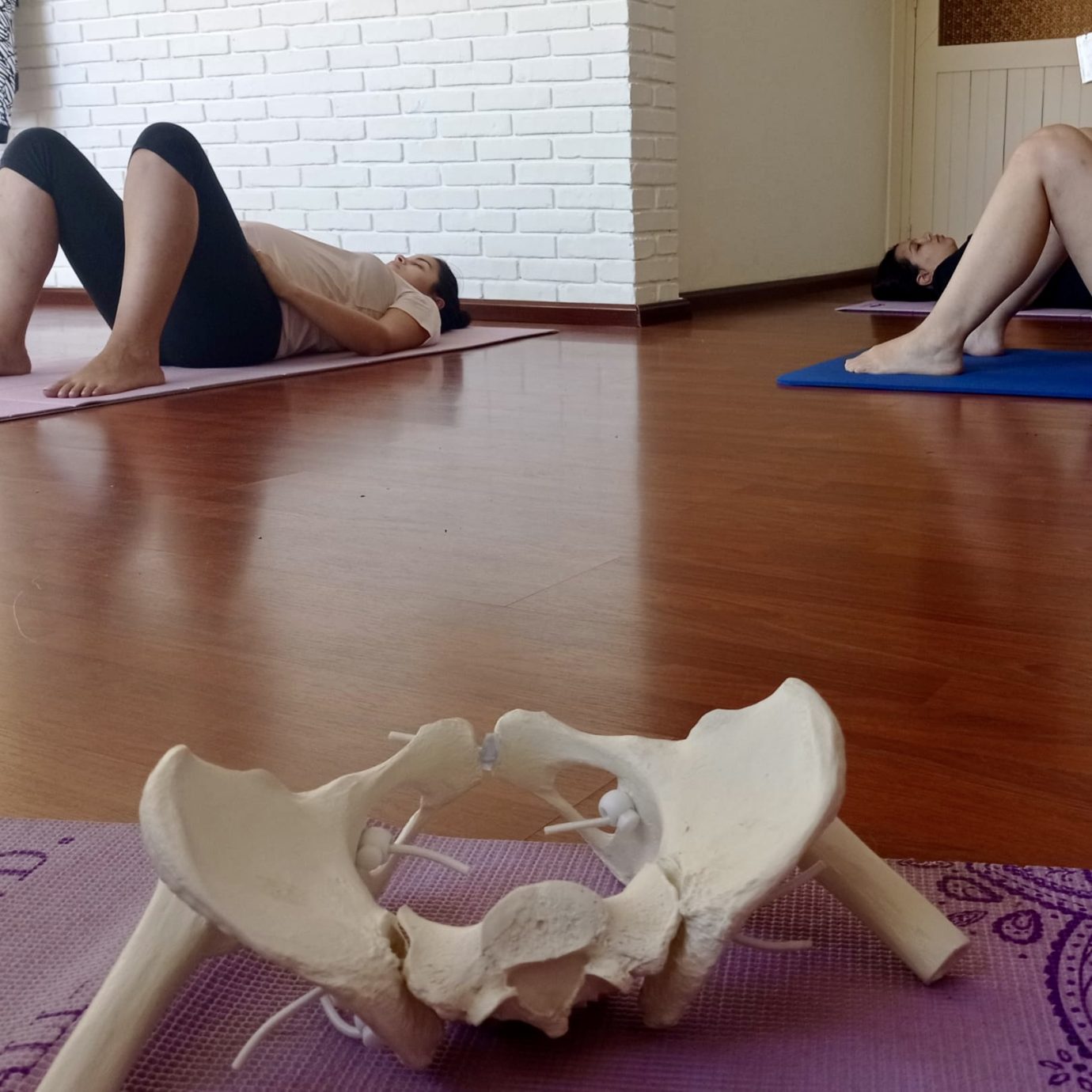 Taller Parto y Movimiento - Ana Mato Obstetra Partera y Pilates